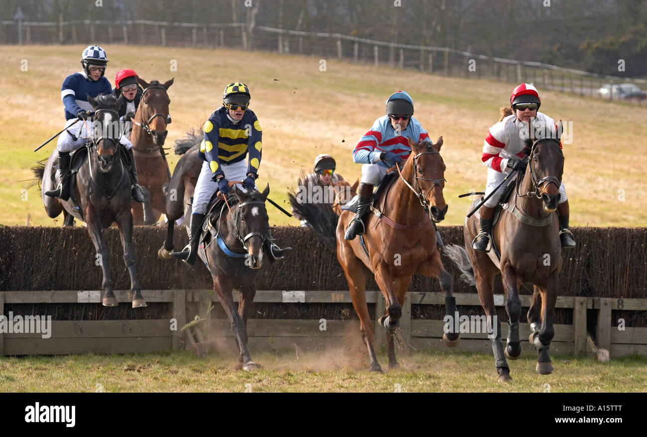 Godstone Point to Point horses over the jump Stock Photo - Alamy