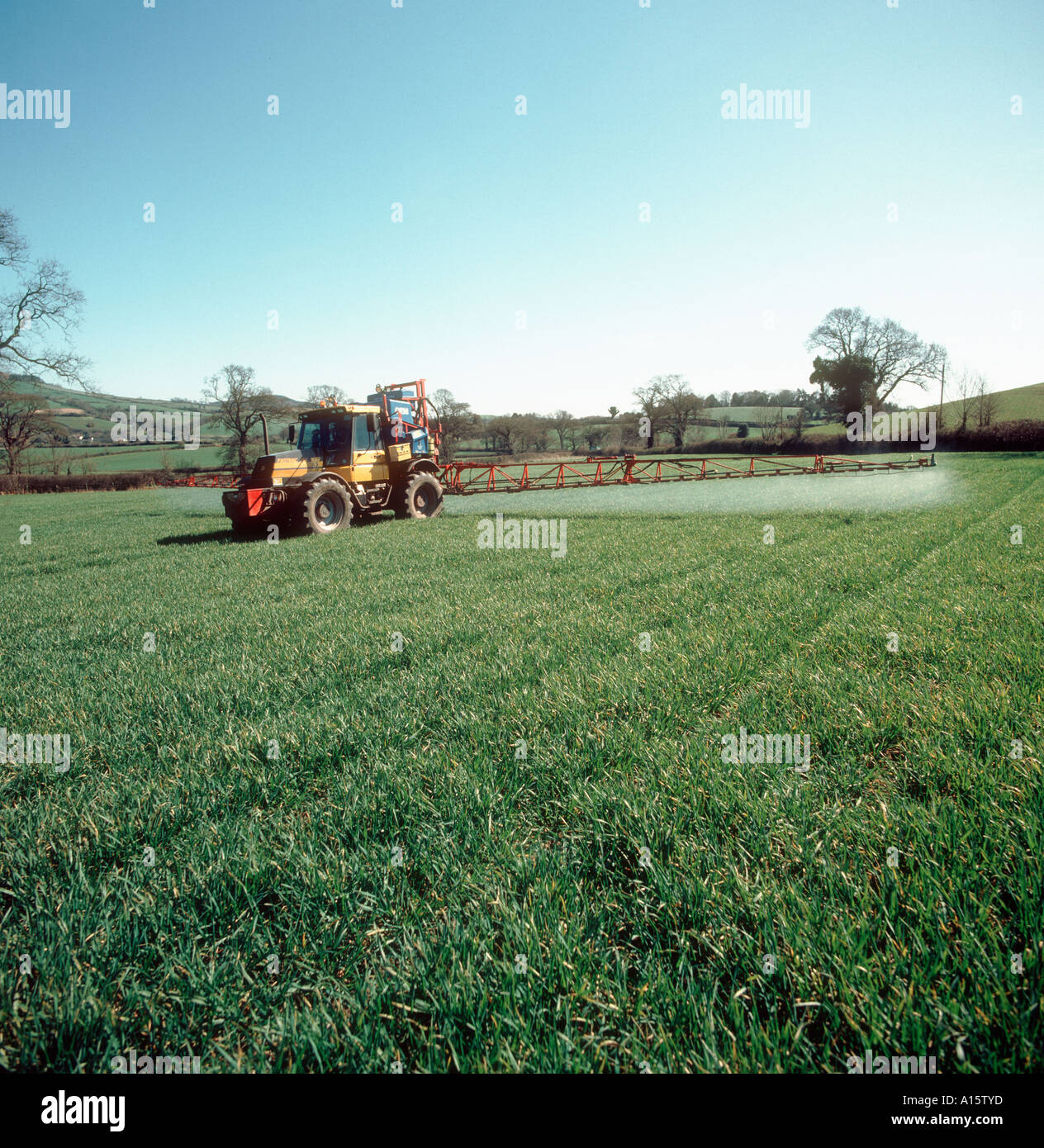 Fastrac tractor and mounted sprayer spraying barley crop in spring ...