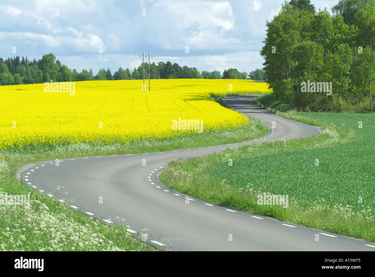 Swedish summer road Östergötland Sweden Stock Photo - Alamy