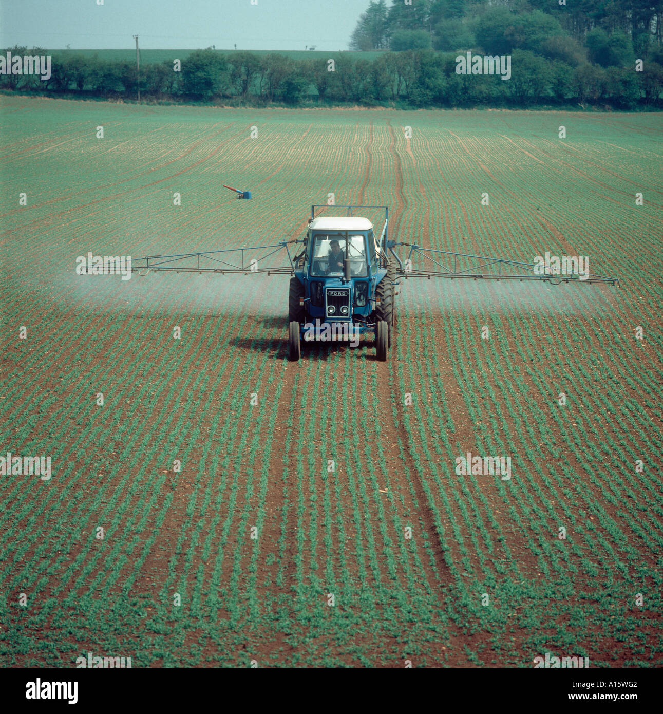 Ford tractor with mounted boom sprayer spraying a seedling pea crop ...