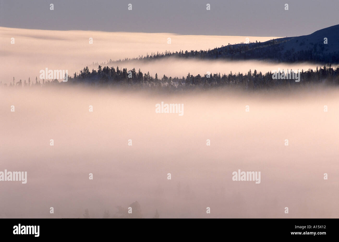 Mountain above the mist Stock Photo - Alamy