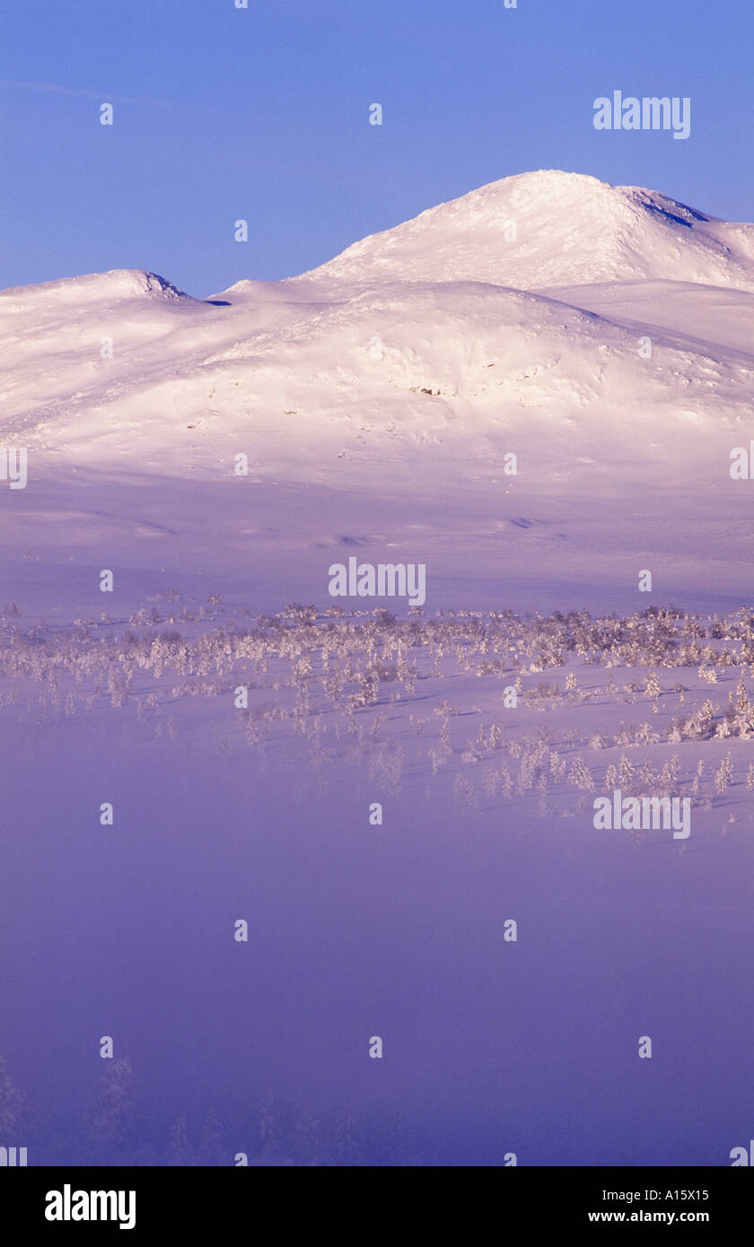 Mountain above the mist Stock Photo - Alamy