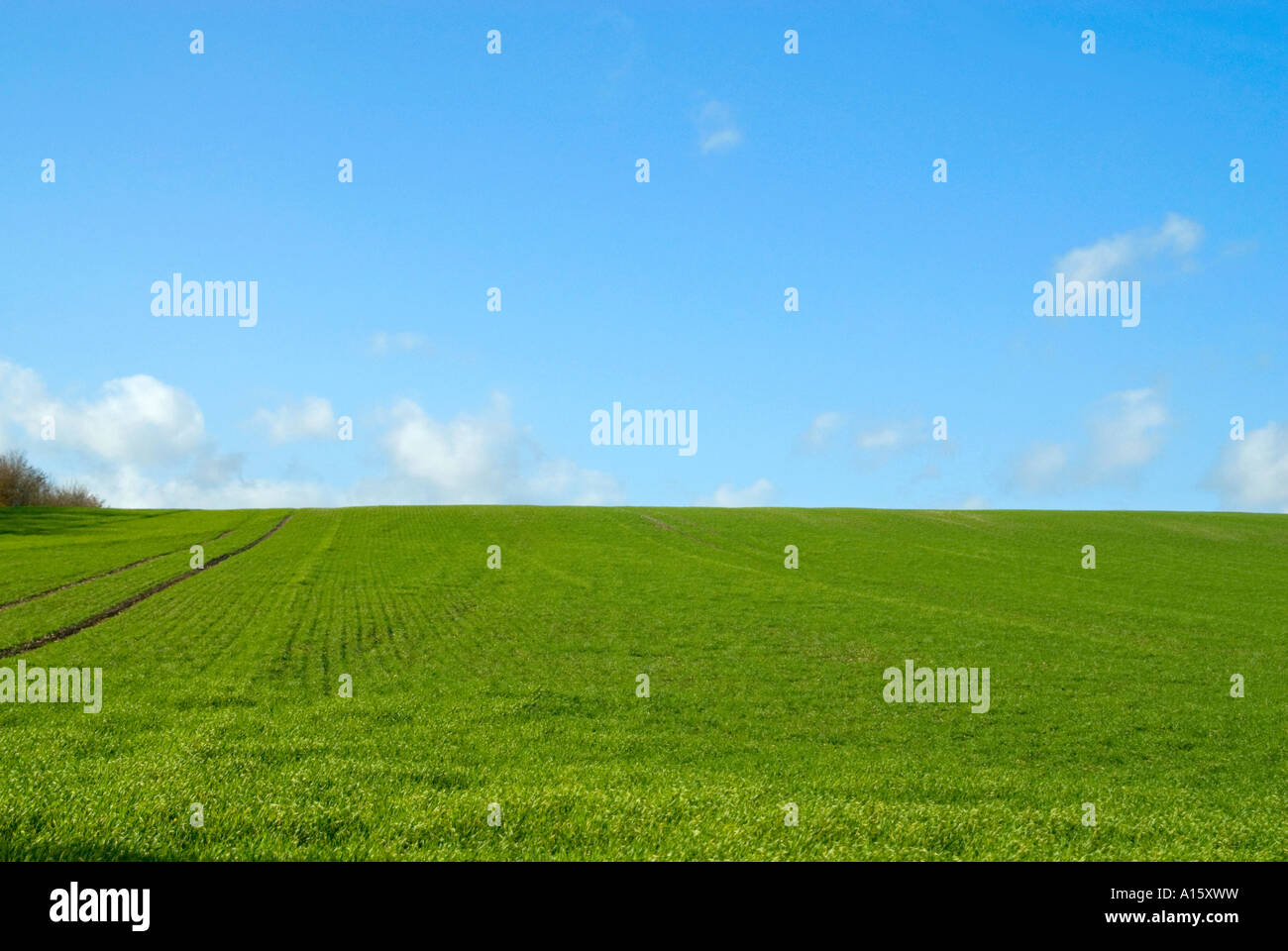 Horizontal wide angle view of a huge green field against a brilliant ...