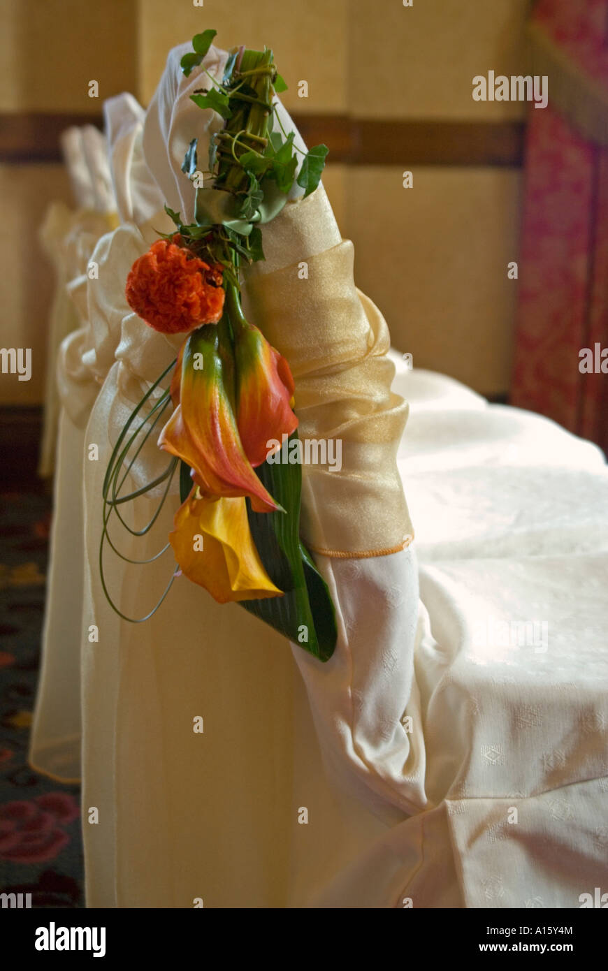 Vertical close up of bright orange calla lily flower poses decorating ...