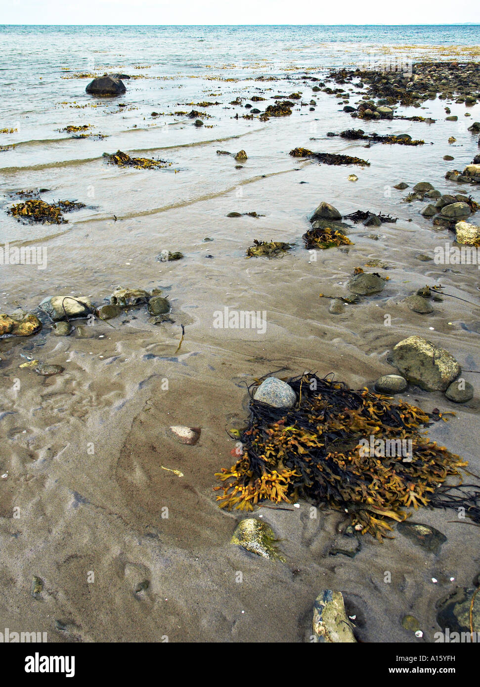 Beach in Denmark Stock Photo - Alamy