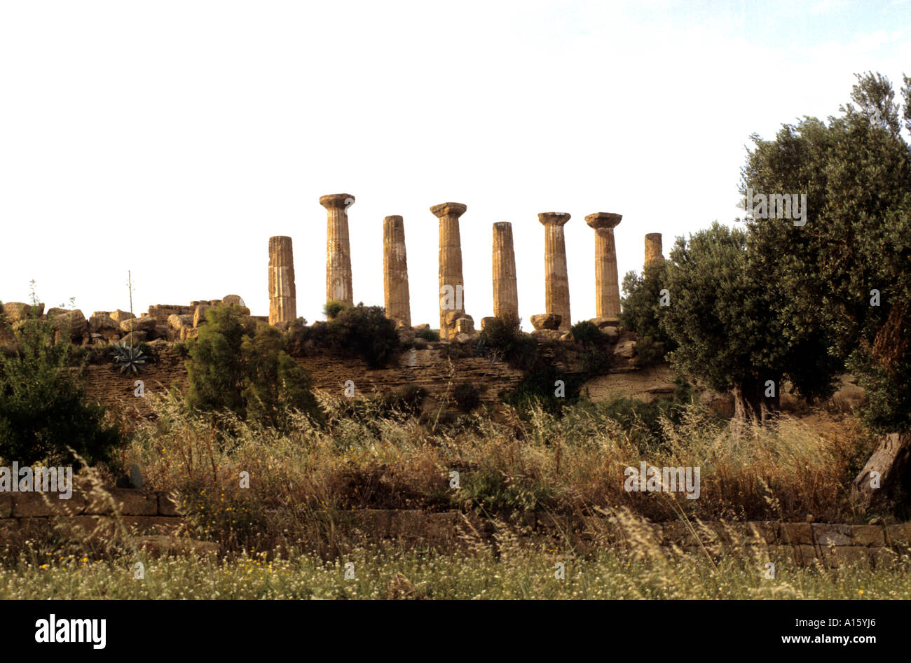 Concord Goddess Temple High Resolution Stock Photography and Images - Alamy