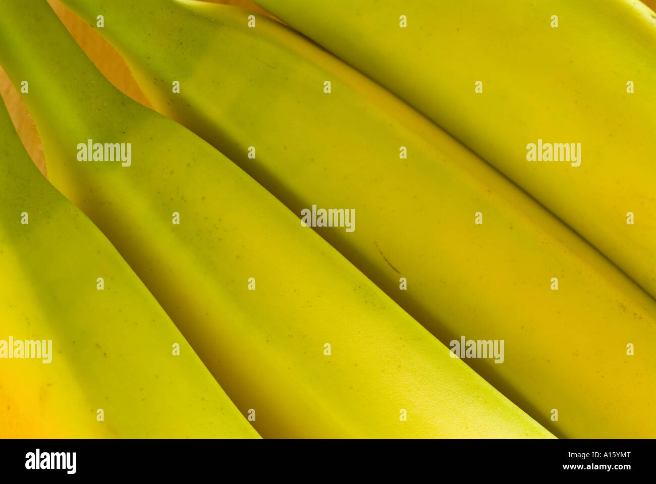 Bananas close up Stock Photo - Alamy