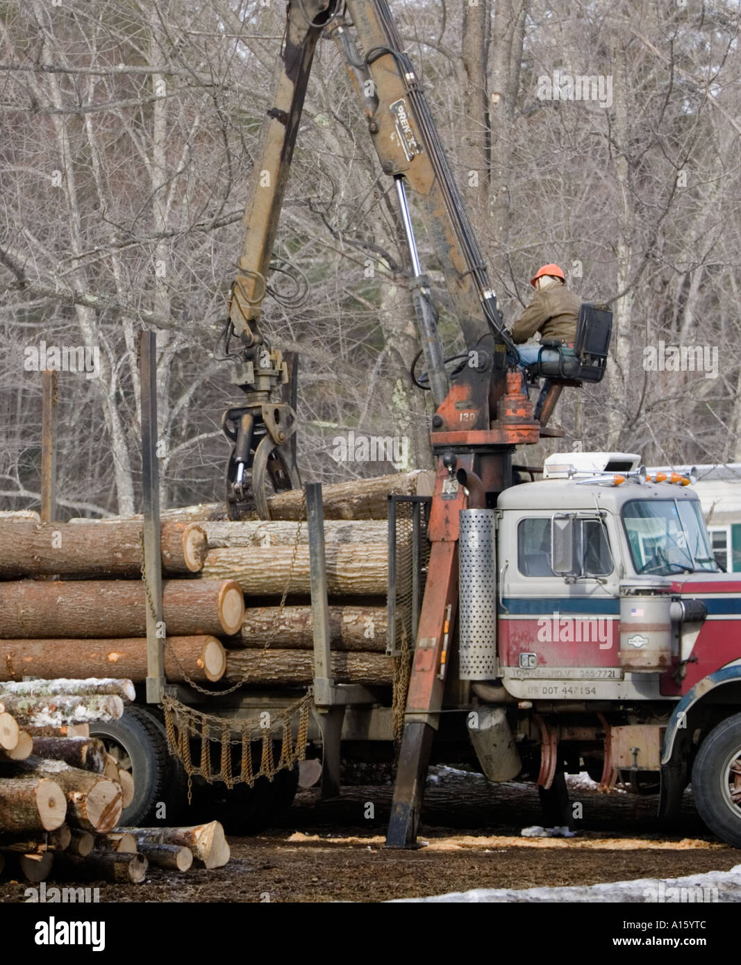 Loading logging truck hi-res stock photography and images - Alamy