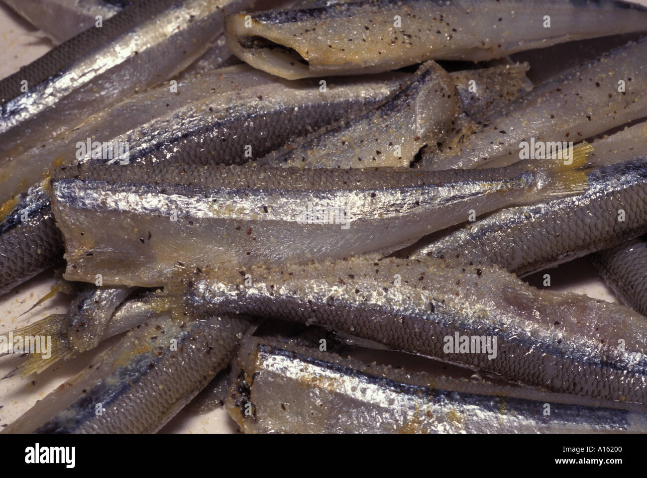 PACKED SARDINES FROM A CAN TIN Stock Photo - Alamy