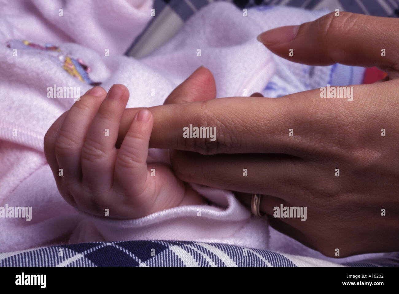 INFANT CHILD GRIPS MOTHERS FINGER Stock Photo - Alamy