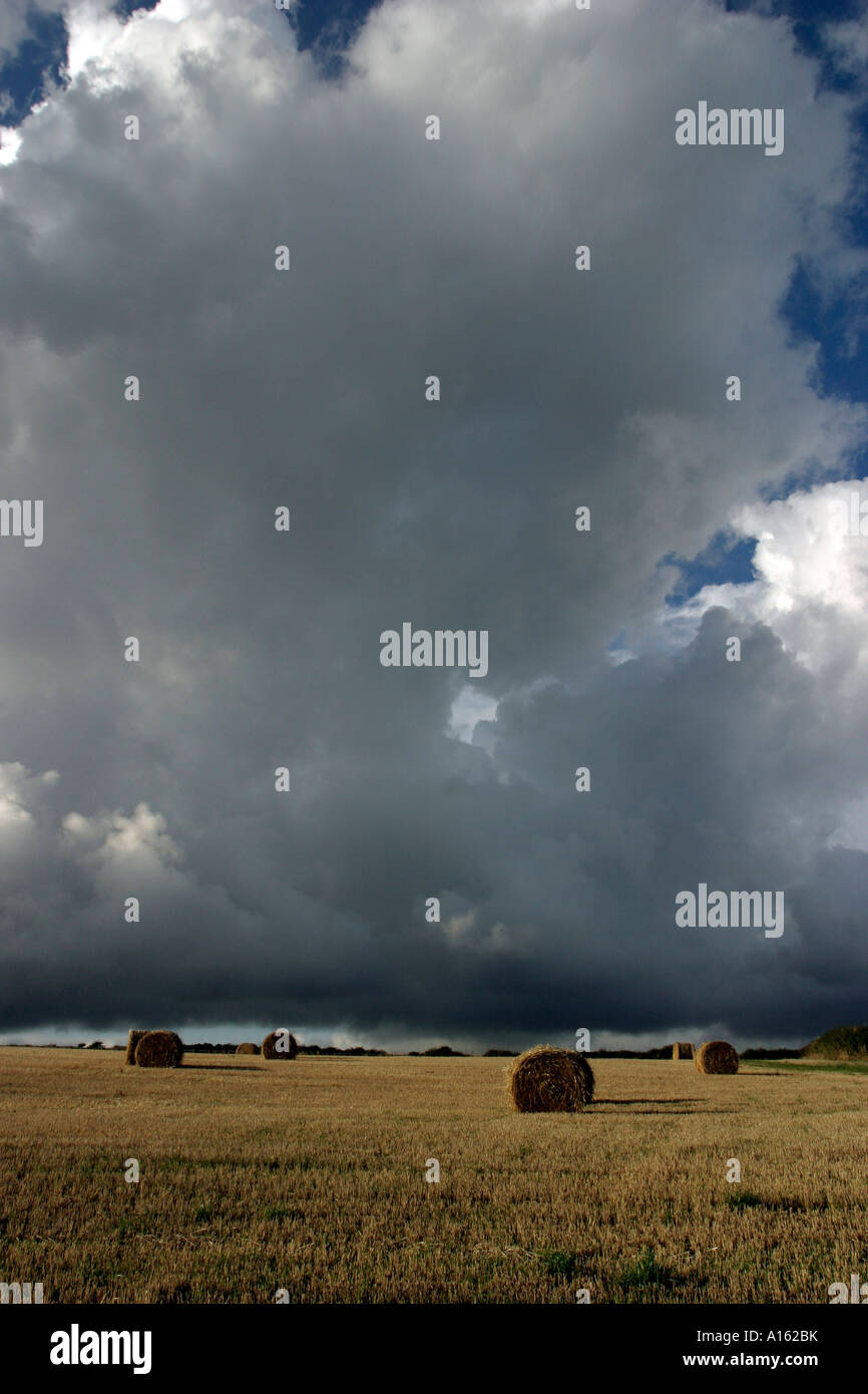 Rotating sheep hi-res stock photography and images - Alamy