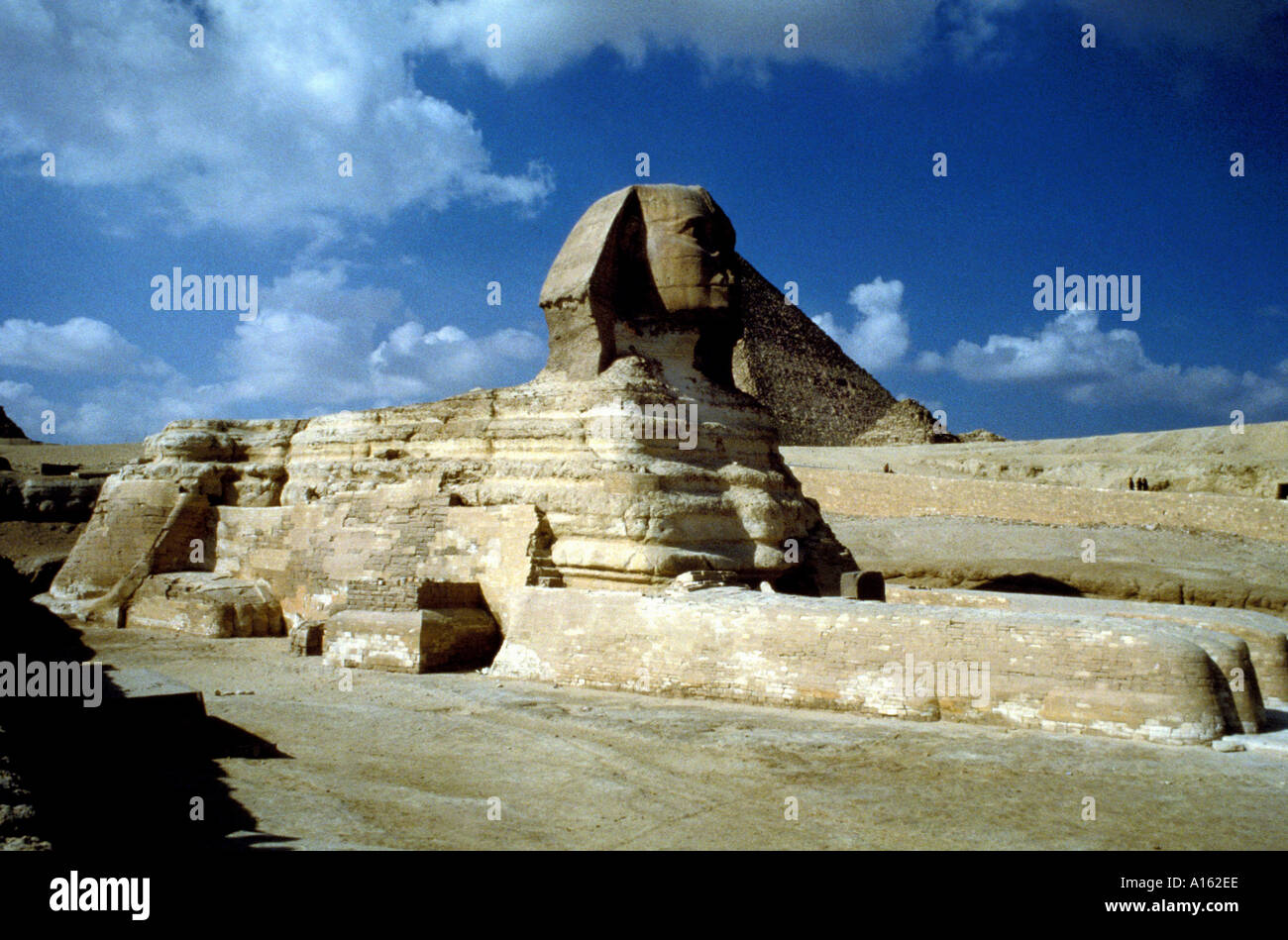 AFRICA EGYPT GIZA SPHINX Stock Photo - Alamy