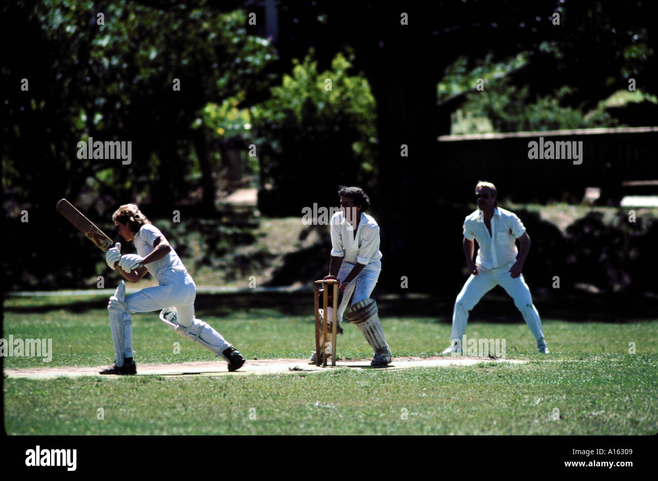 Cricket tasmania hi-res stock photography and images - Alamy