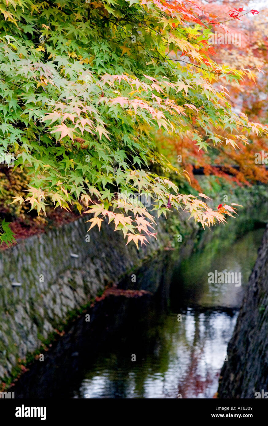 Philosopher’s path kyoto hi-res stock photography and images - Alamy