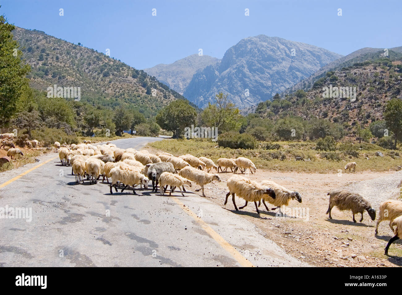 Cretean landscape Crete Greece Stock Photo - Alamy