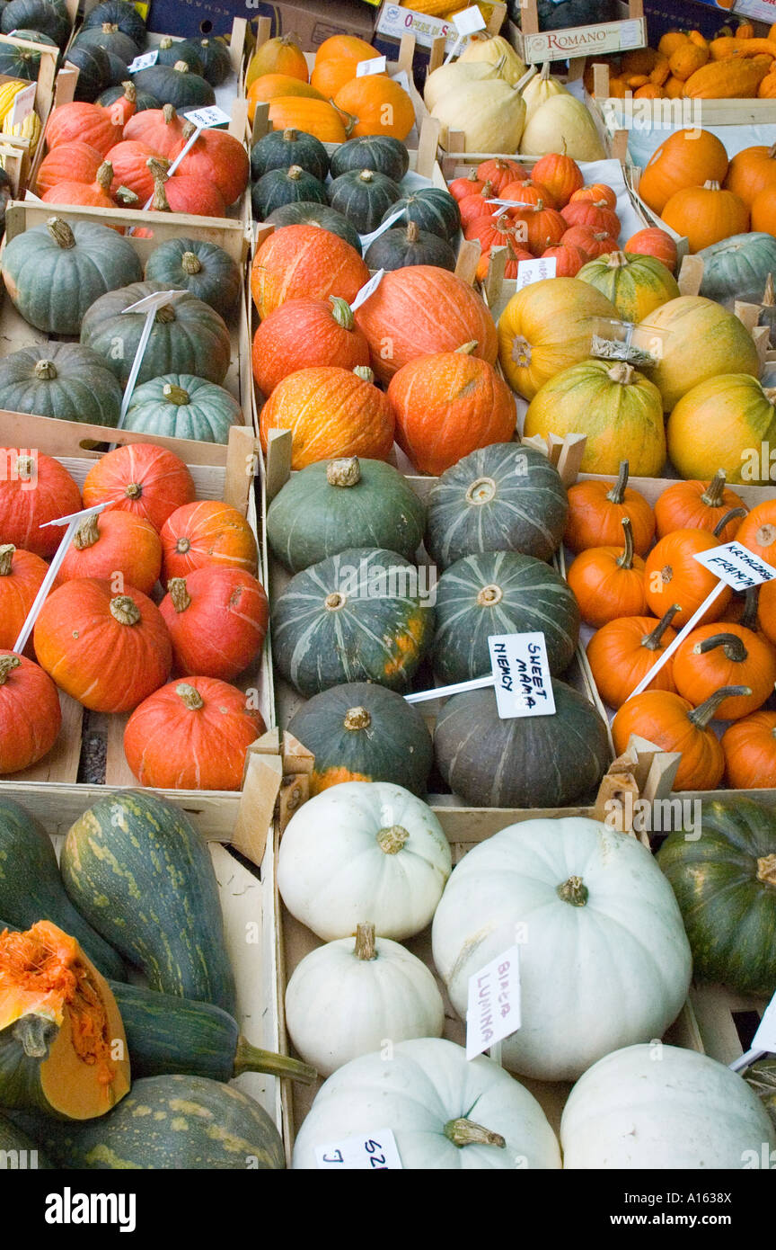 Multicolour multicolor pumpkins Cucurbita Stock Photo - Alamy