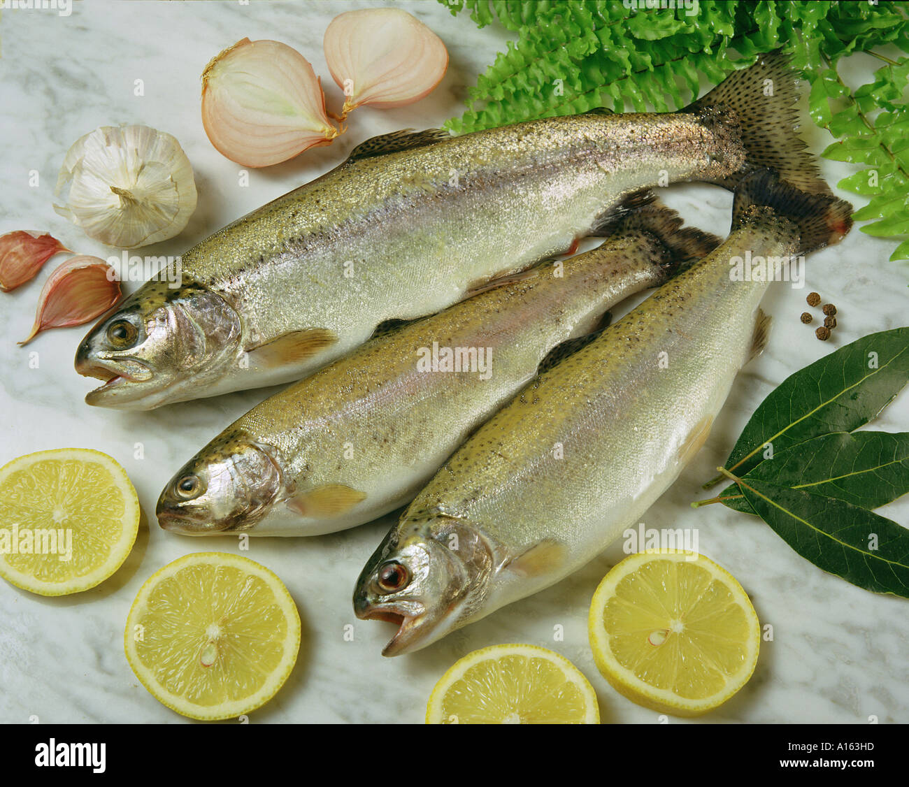 Trouts river hi-res stock photography and images - Alamy
