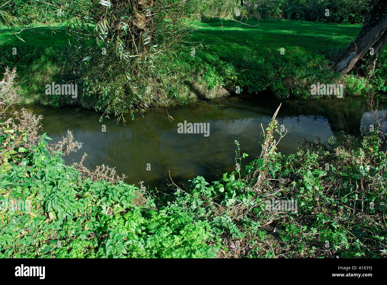 Source of the river thames hi-res stock photography and images - Alamy