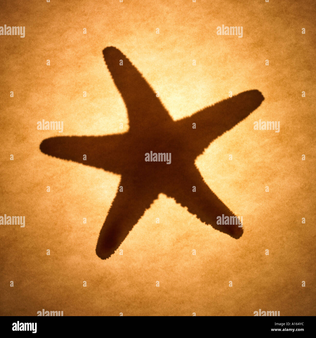 Fish symbol outline hi-res stock photography and images - Alamy