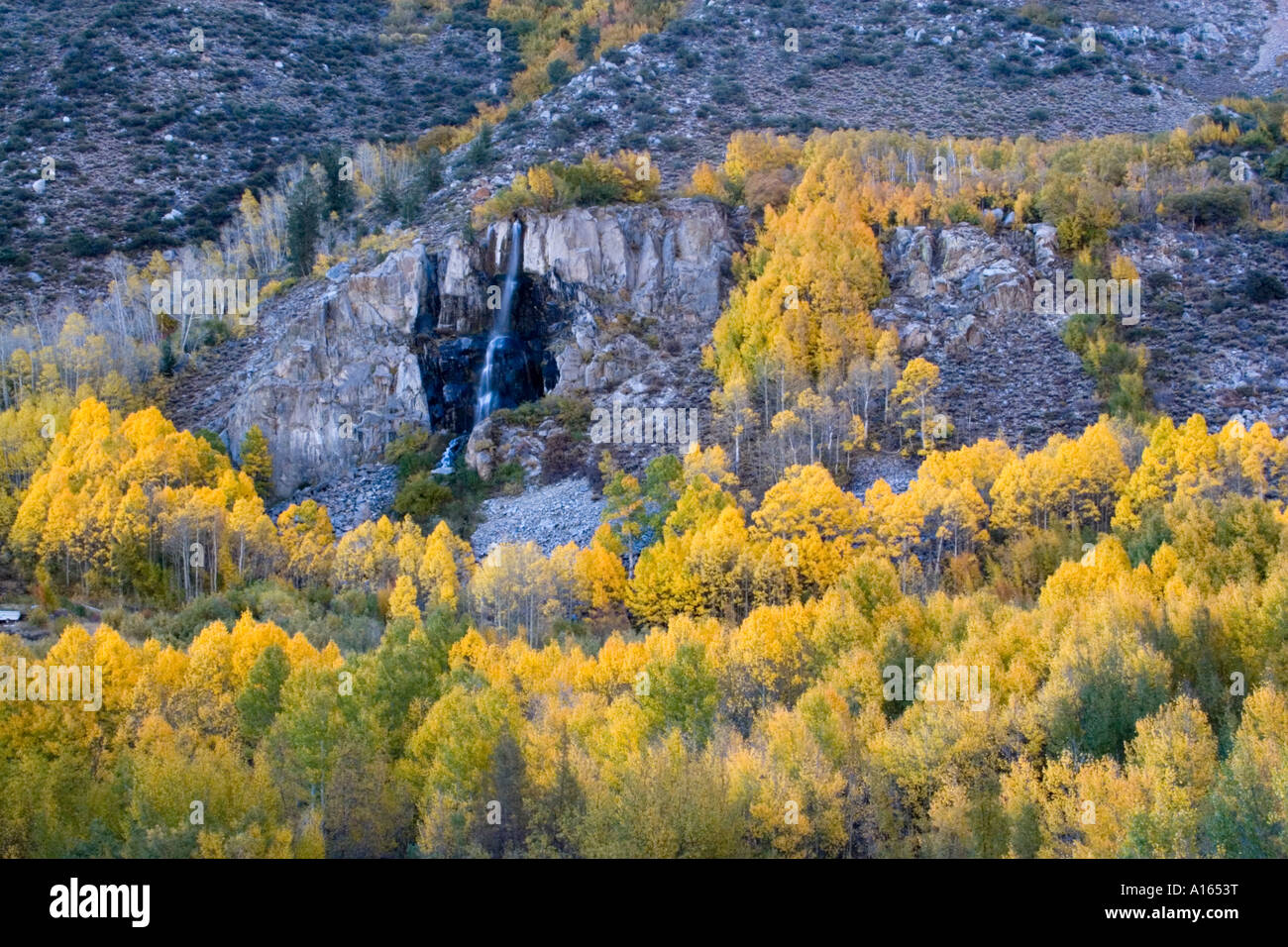 Digital stock image of fall foliage and waterfall at South Fork of ...