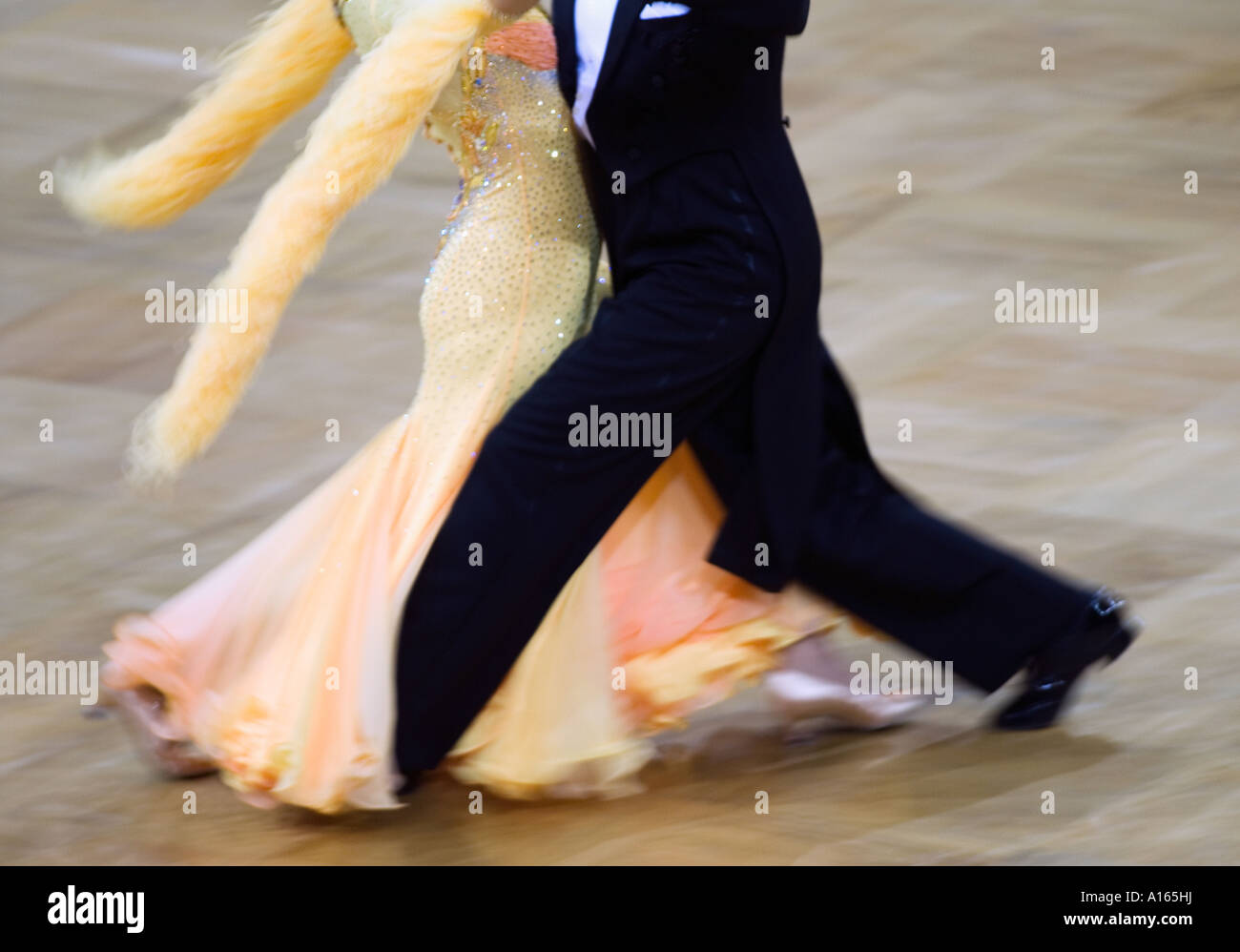 Professional ballroom dancers performing in the Standard Dance ...