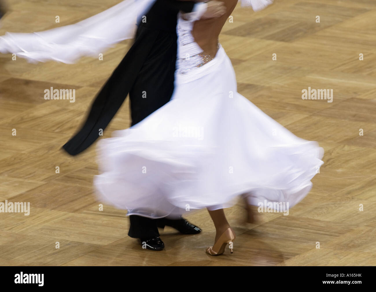 Professional ballroom dancers performing in the Standard Dance ...