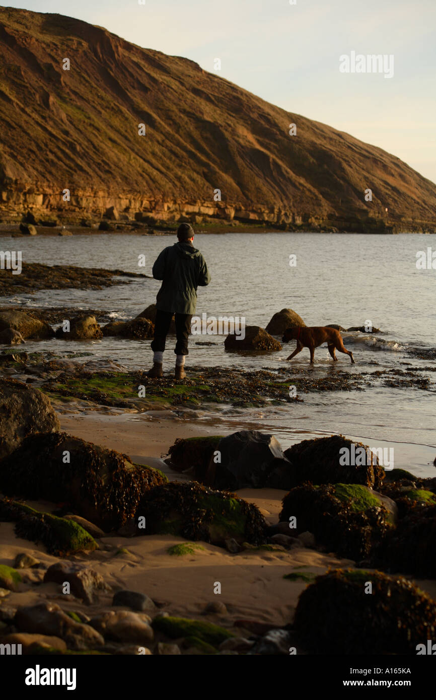 Man watching birds through binoculars at the Brigg, Filey , North ...