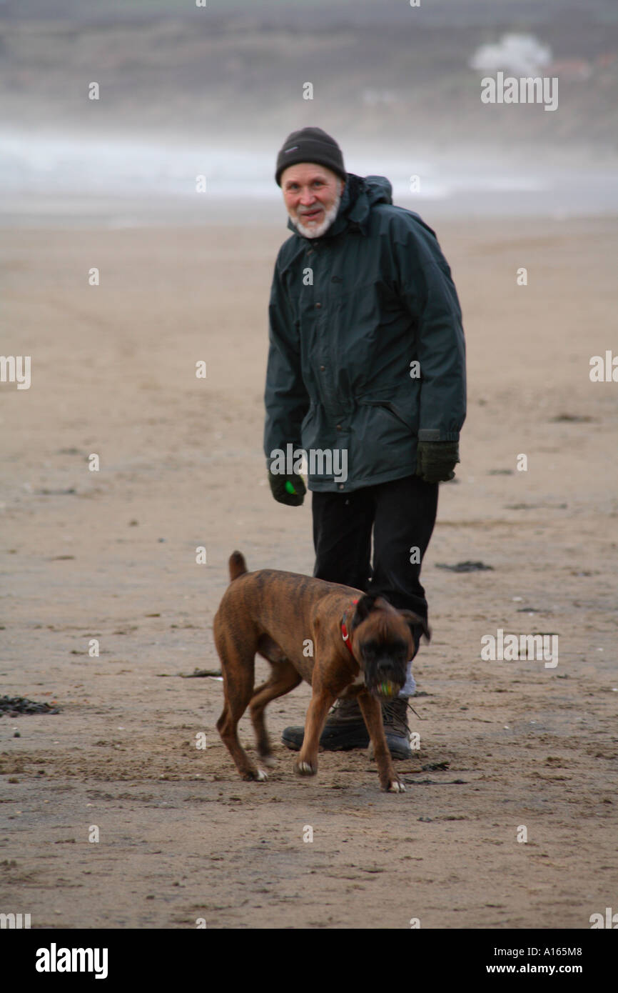 Senior boxer dog hi-res stock photography and images - Alamy