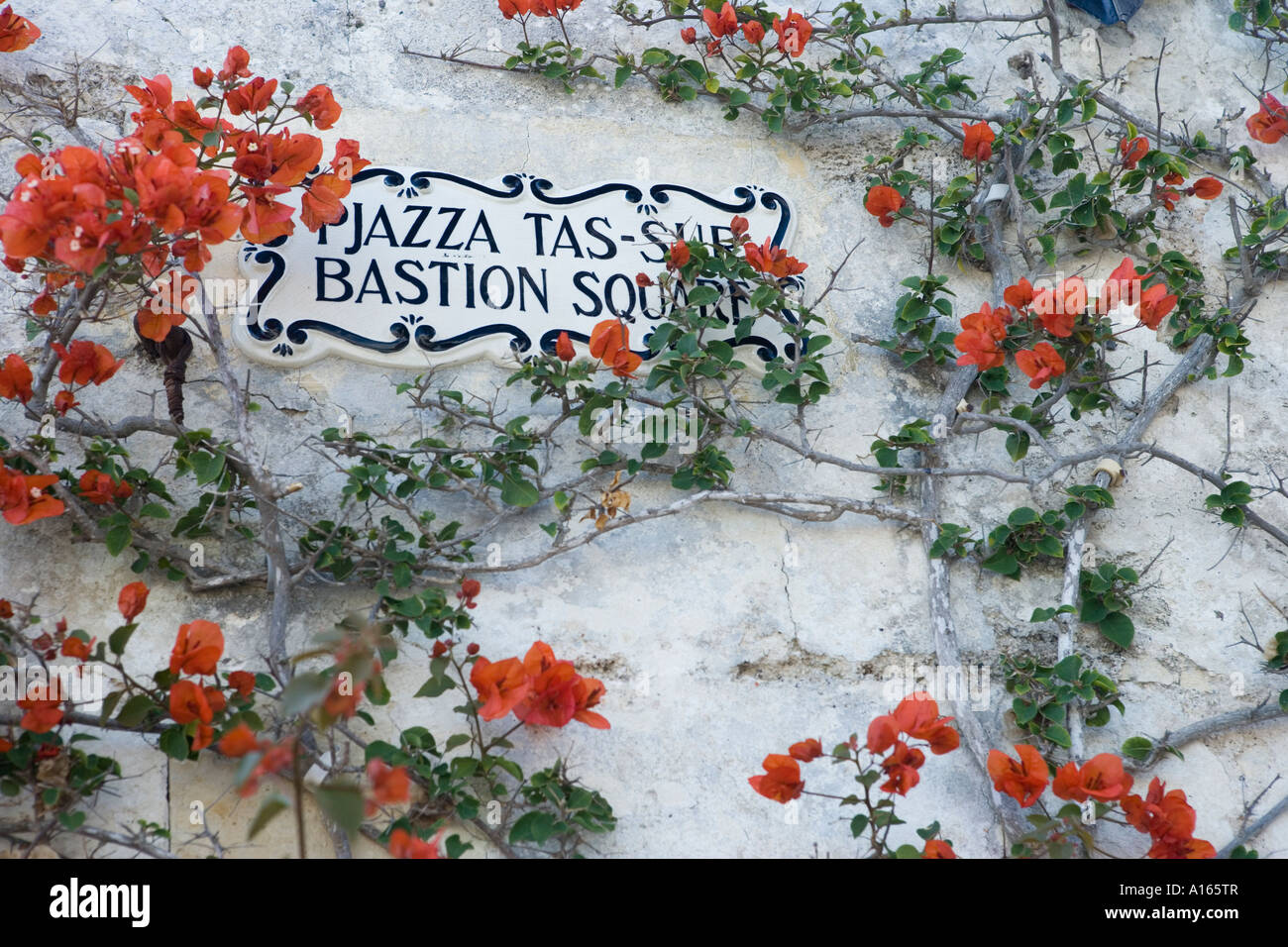 Streetflowers hi-res stock photography and images - Alamy