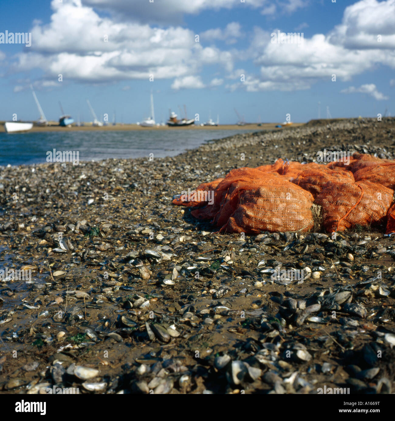 Boats and sacks of mussels at Brancaster Staithe North Norfolk UK Stock ...