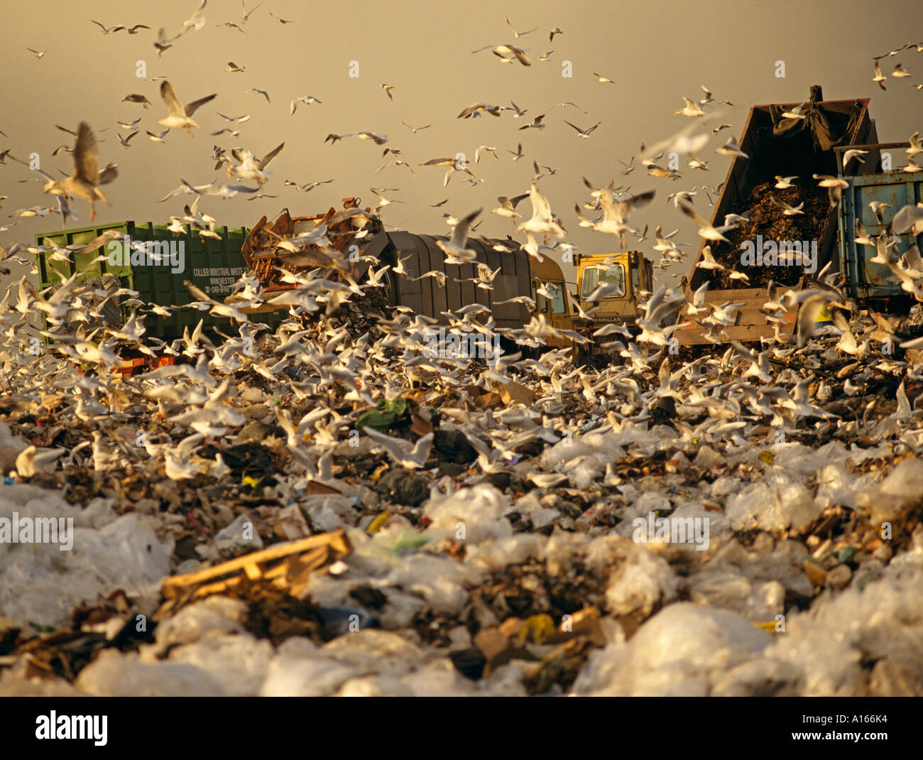 Bulldozing waste on land fill site Warrington Cheshire England UK Stock ...