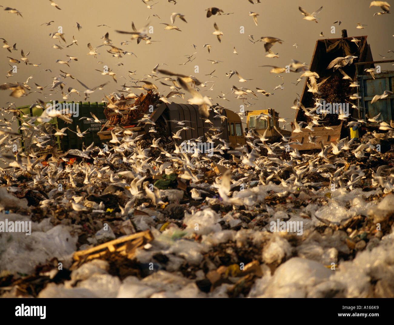 Burying waste hi-res stock photography and images - Alamy