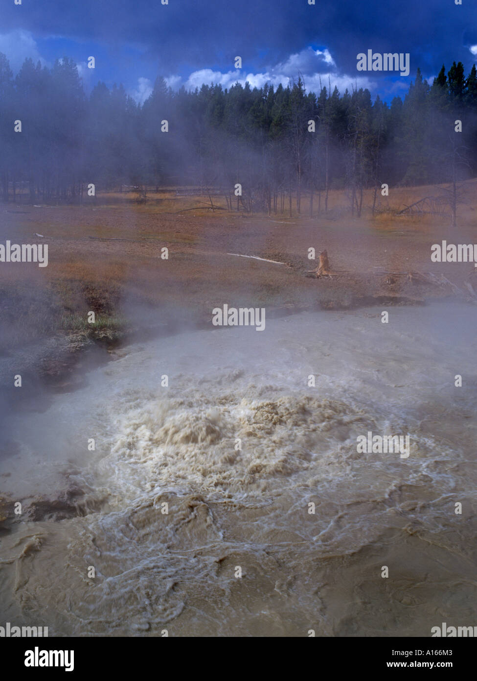Mud volcano boiling pools Hayden Valley Yellowstone National Park ...