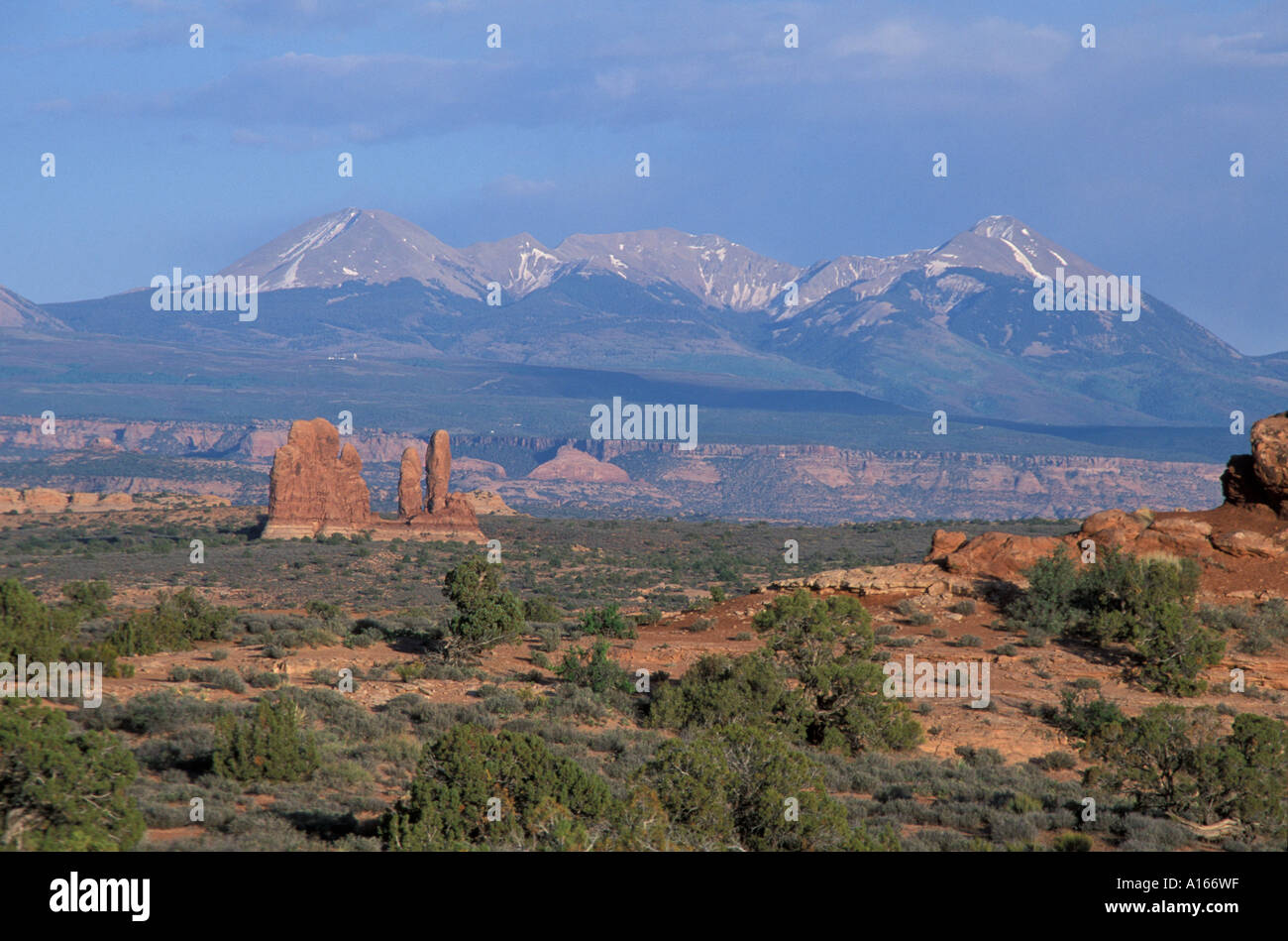 Arches National Park UT Juniper sage brush and Entrada sandstone ...