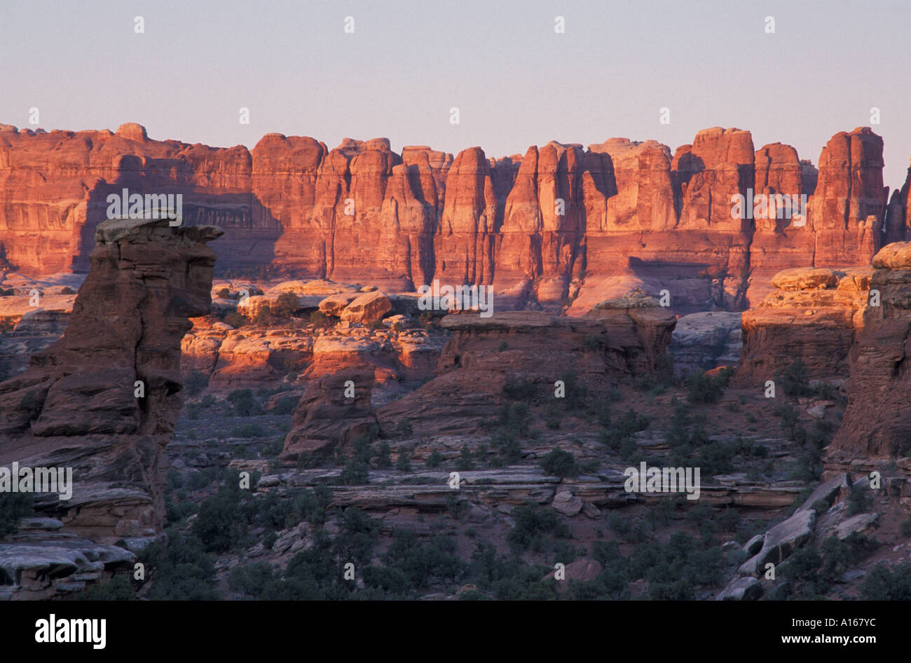 Canyonlands National Park UT Cedar Mesa sandstone formations The desert ...