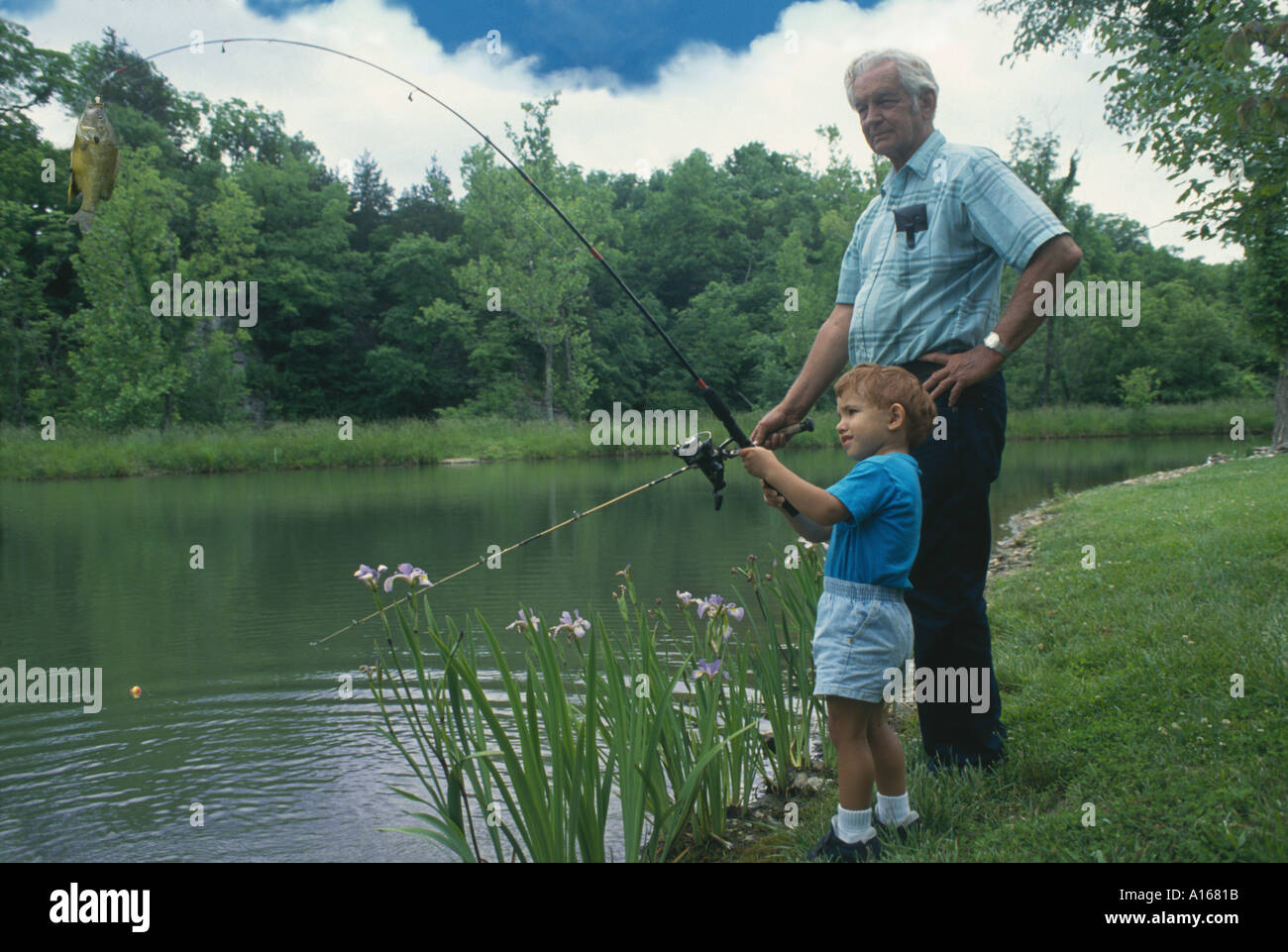 Success! Grandfather and grandson work together to catch a fish on an ...