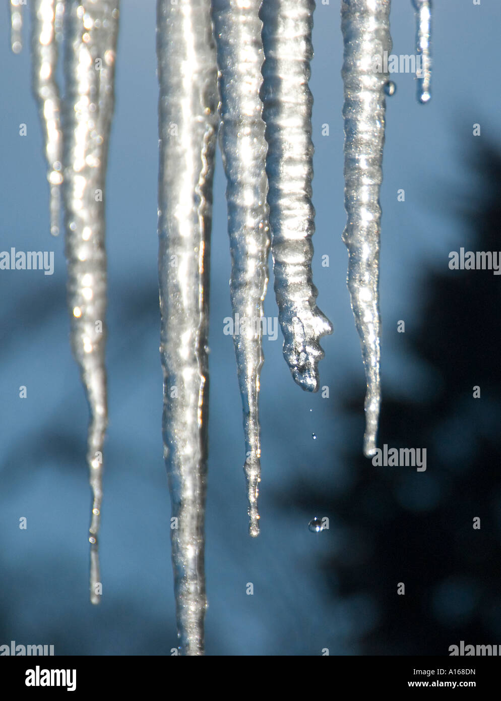 Dripping off roof hi-res stock photography and images - Alamy