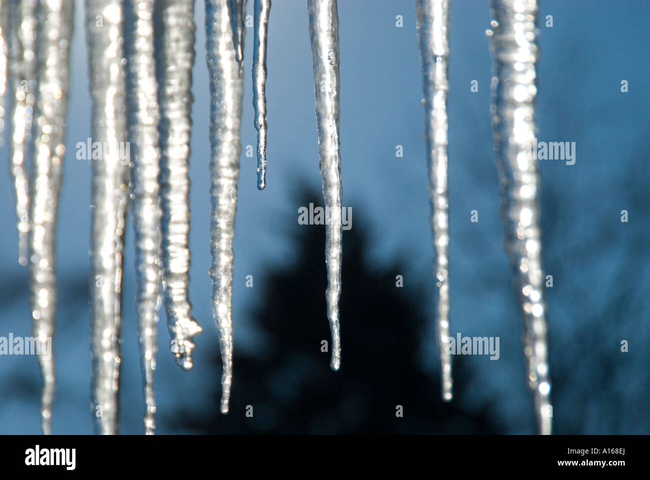 Icicles hanging off home hi-res stock photography and images - Alamy