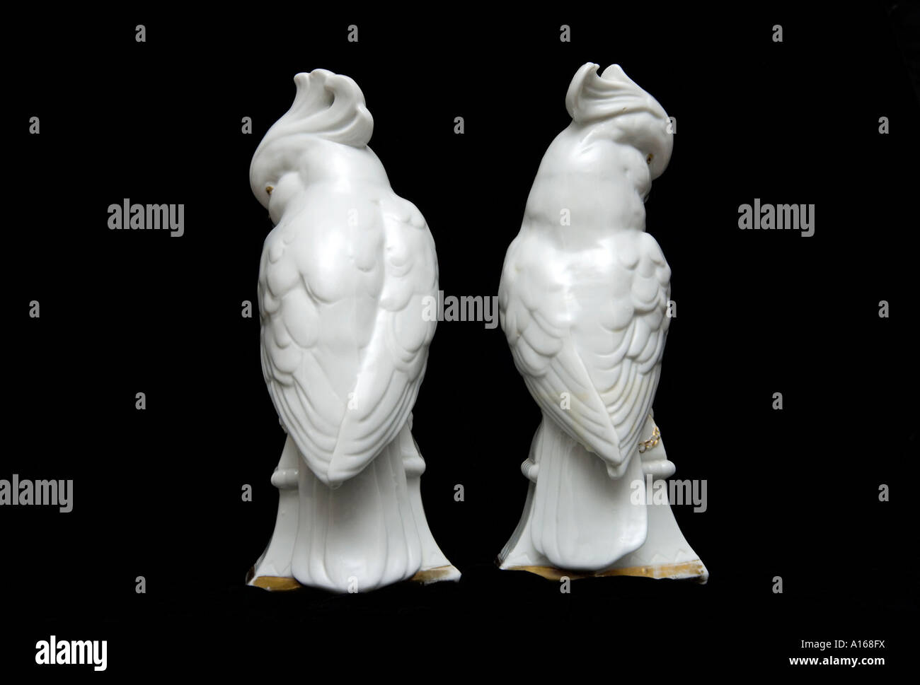 Porcelain wildlife hi-res stock photography and images - Alamy