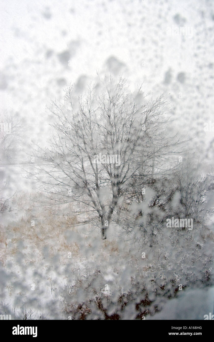 Cabin window looking out winter hi-res stock photography and images - Alamy