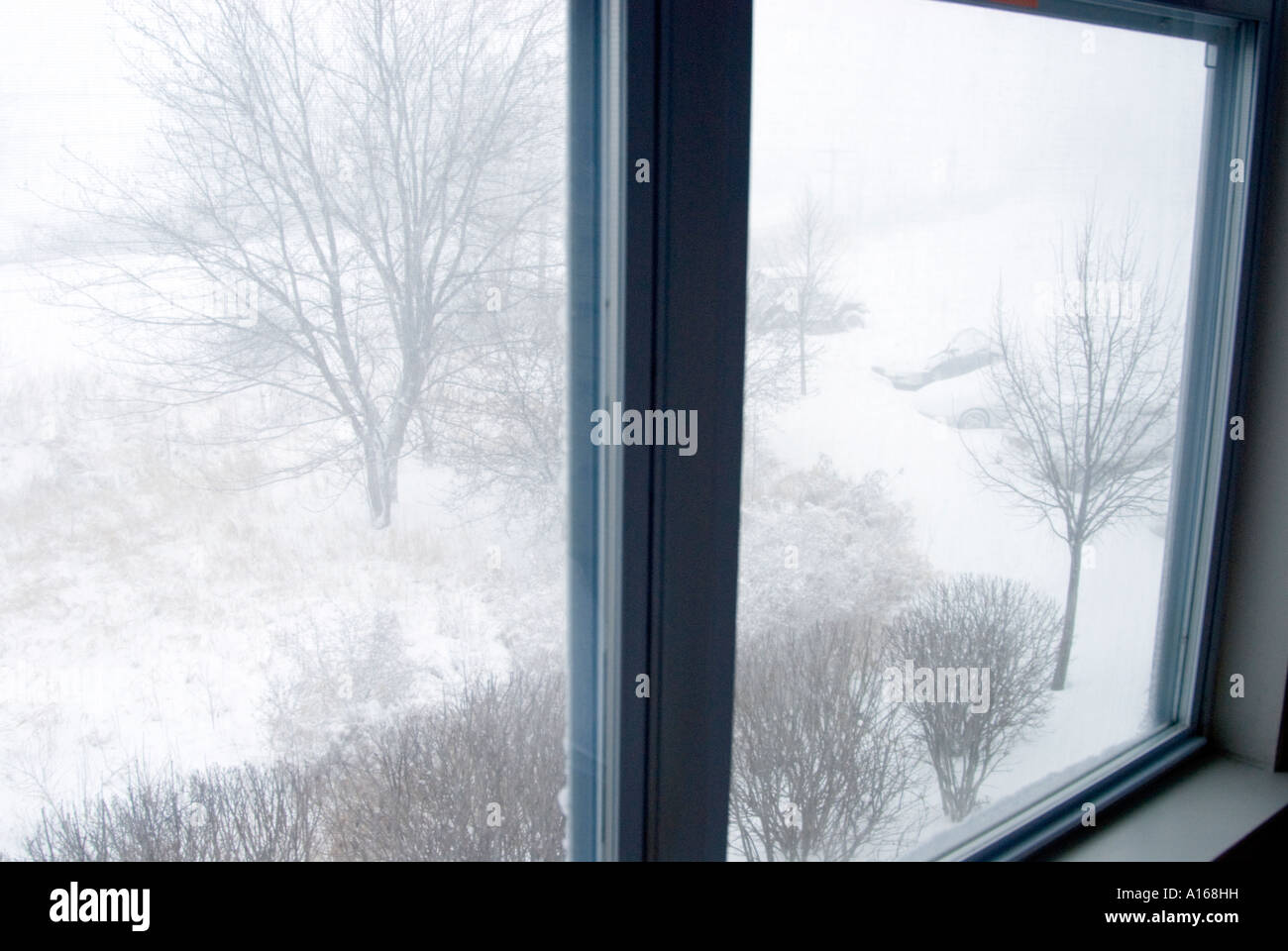 Winter Storm from Window Stock Photo - Alamy