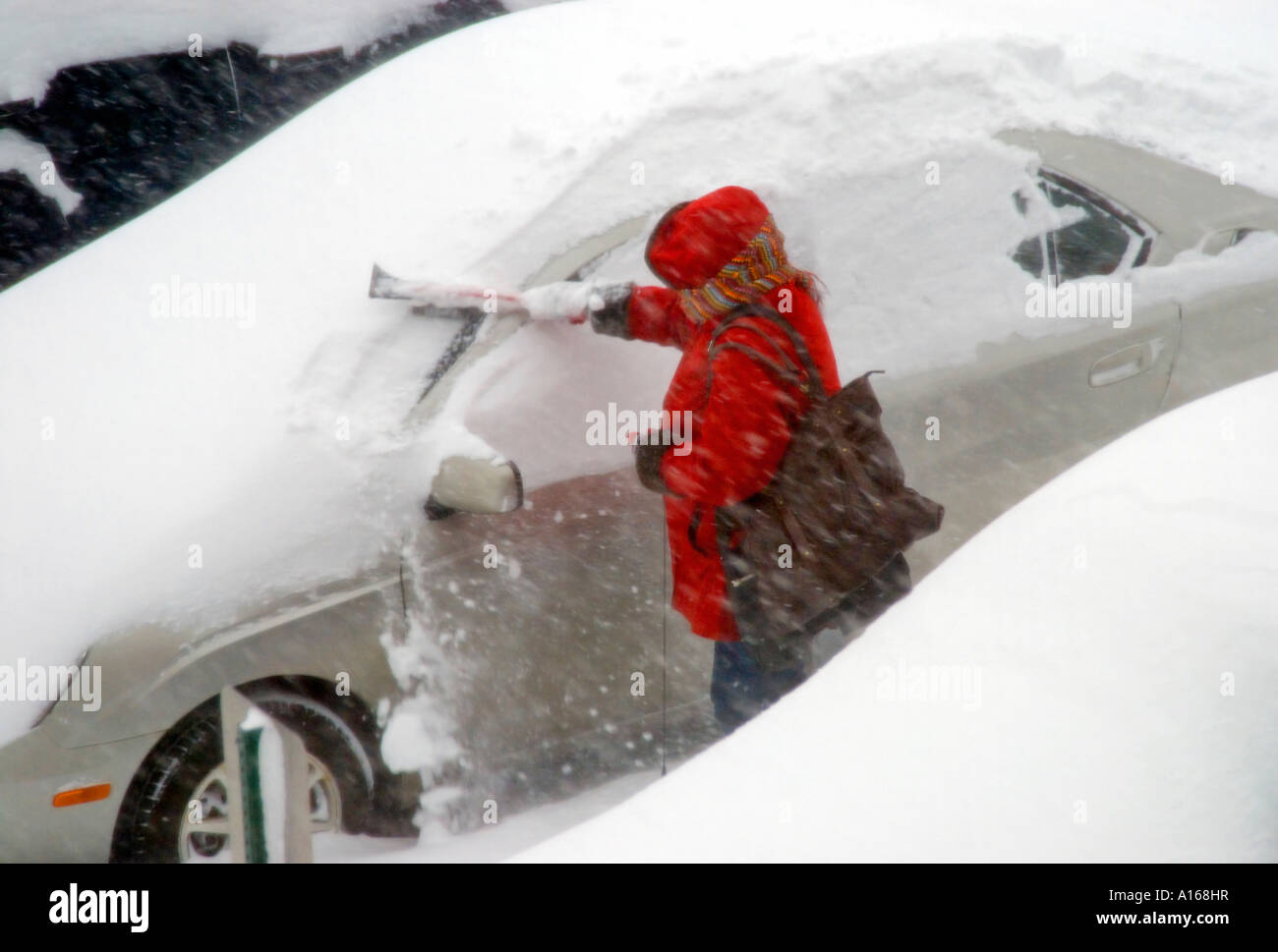 Freak snowfall hi-res stock photography and images - Alamy