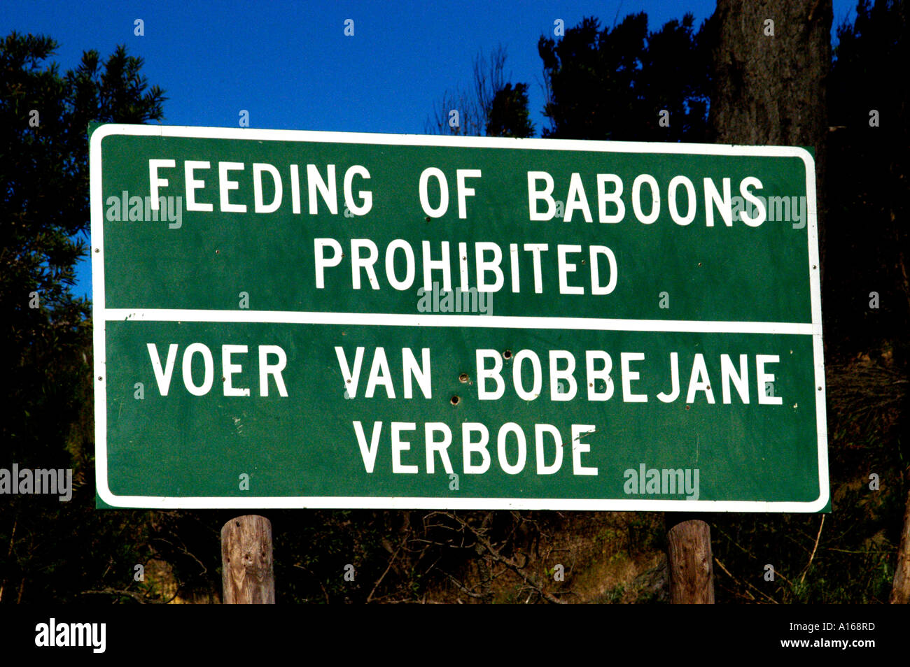 Baboons sign hi-res stock photography and images - Alamy