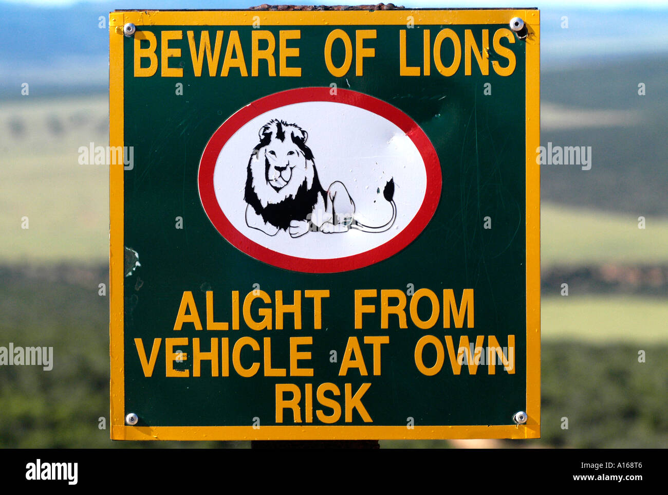 Beware of lions sign hi-res stock photography and images - Alamy