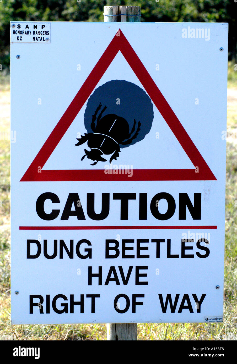 RSA South AfricaAfrican Beetle Dunh Beetles Sign Stock Photo - Alamy