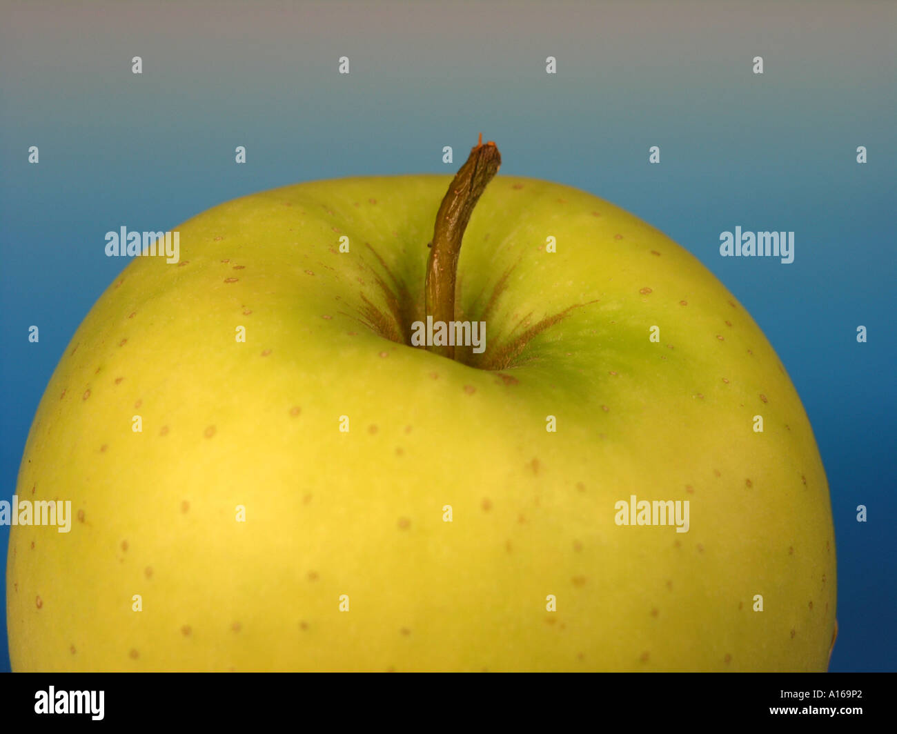 Apple pip tree hi-res stock photography and images - Alamy