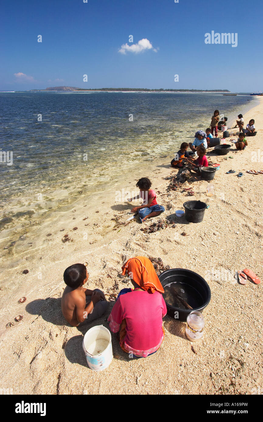 Shellfish Workers, Gili Air Stock Photo - Alamy