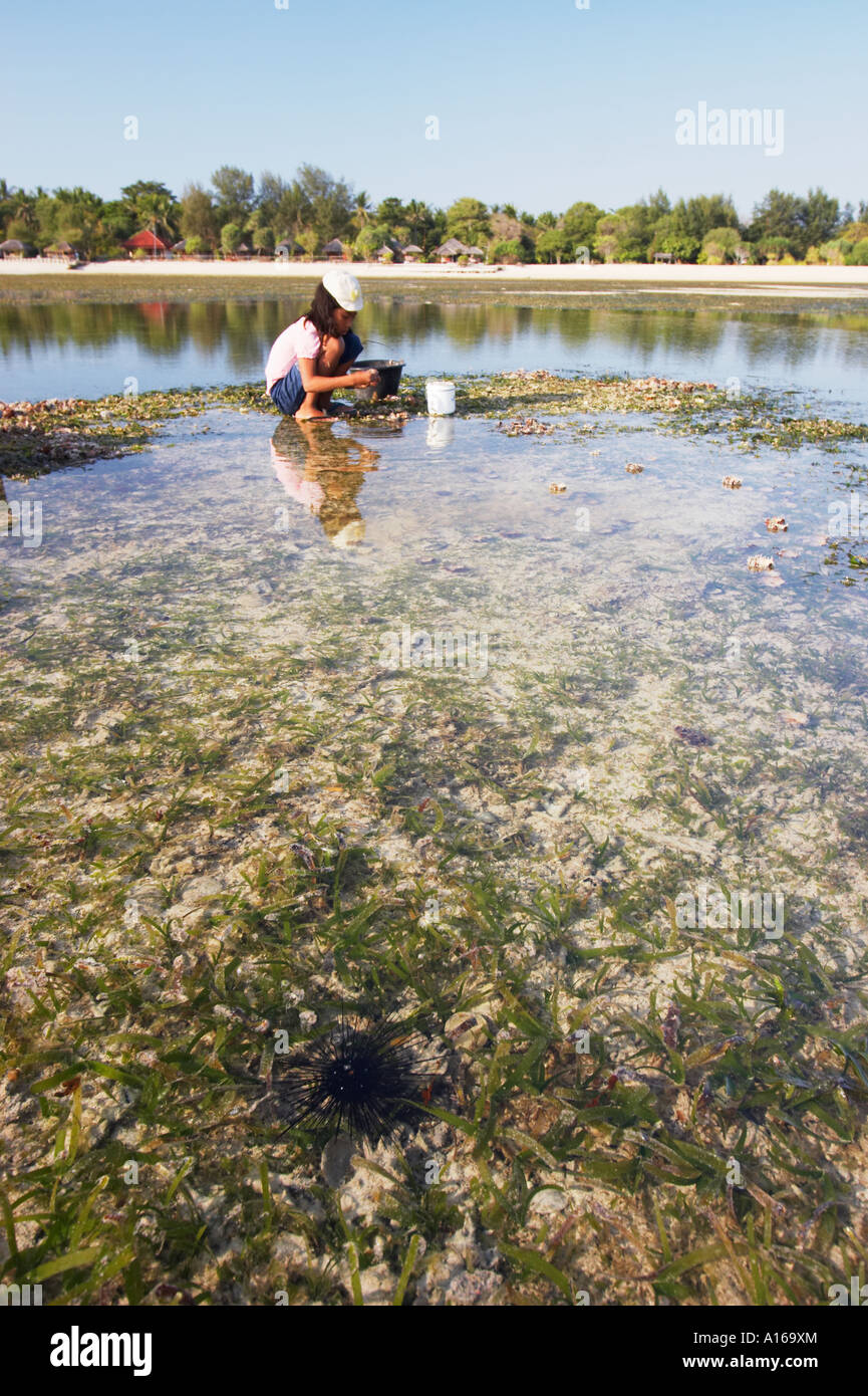 Remote work workplace culture hi-res stock photography and images - Alamy