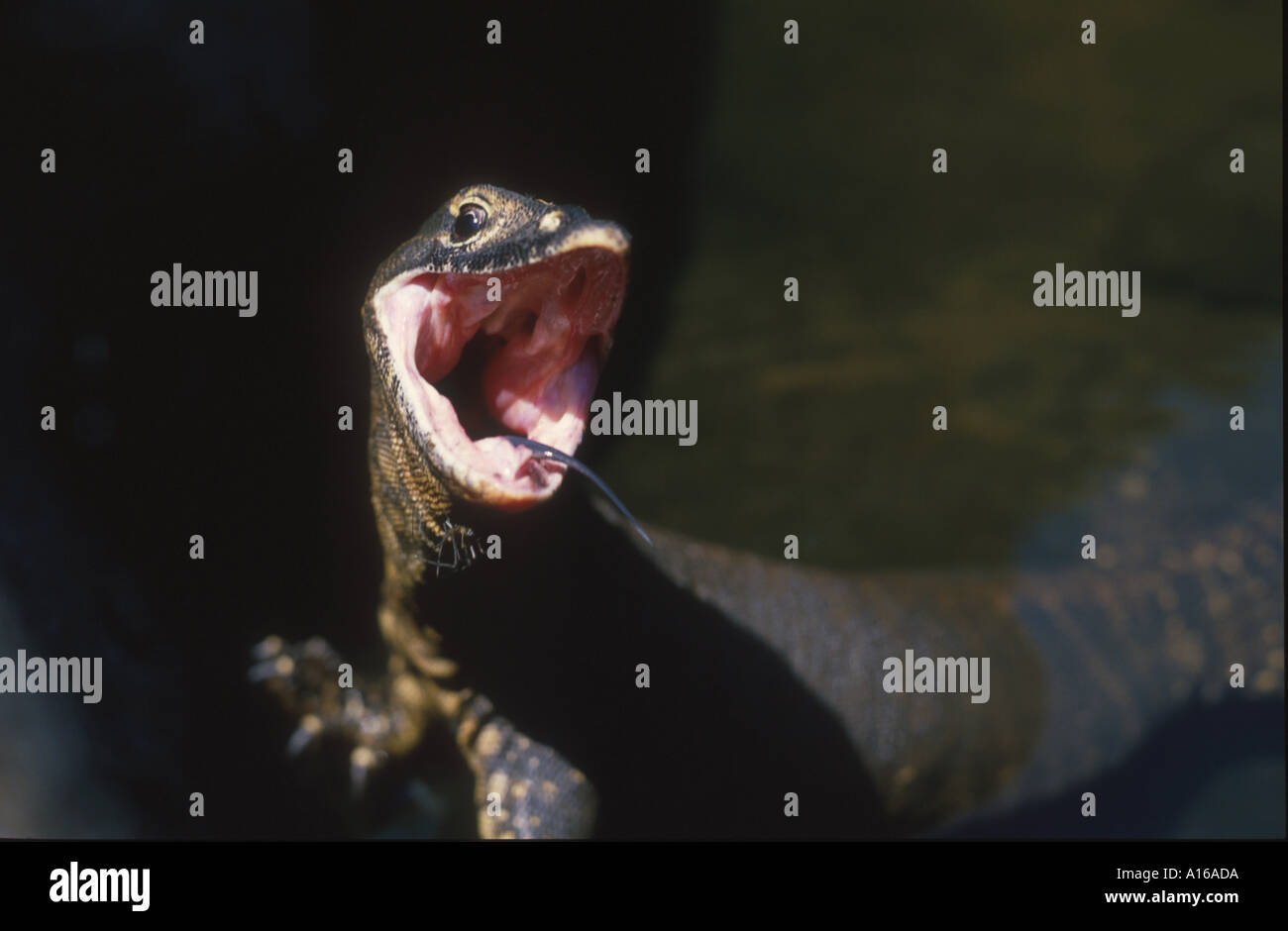 Sw australia hi-res stock photography and images - Alamy