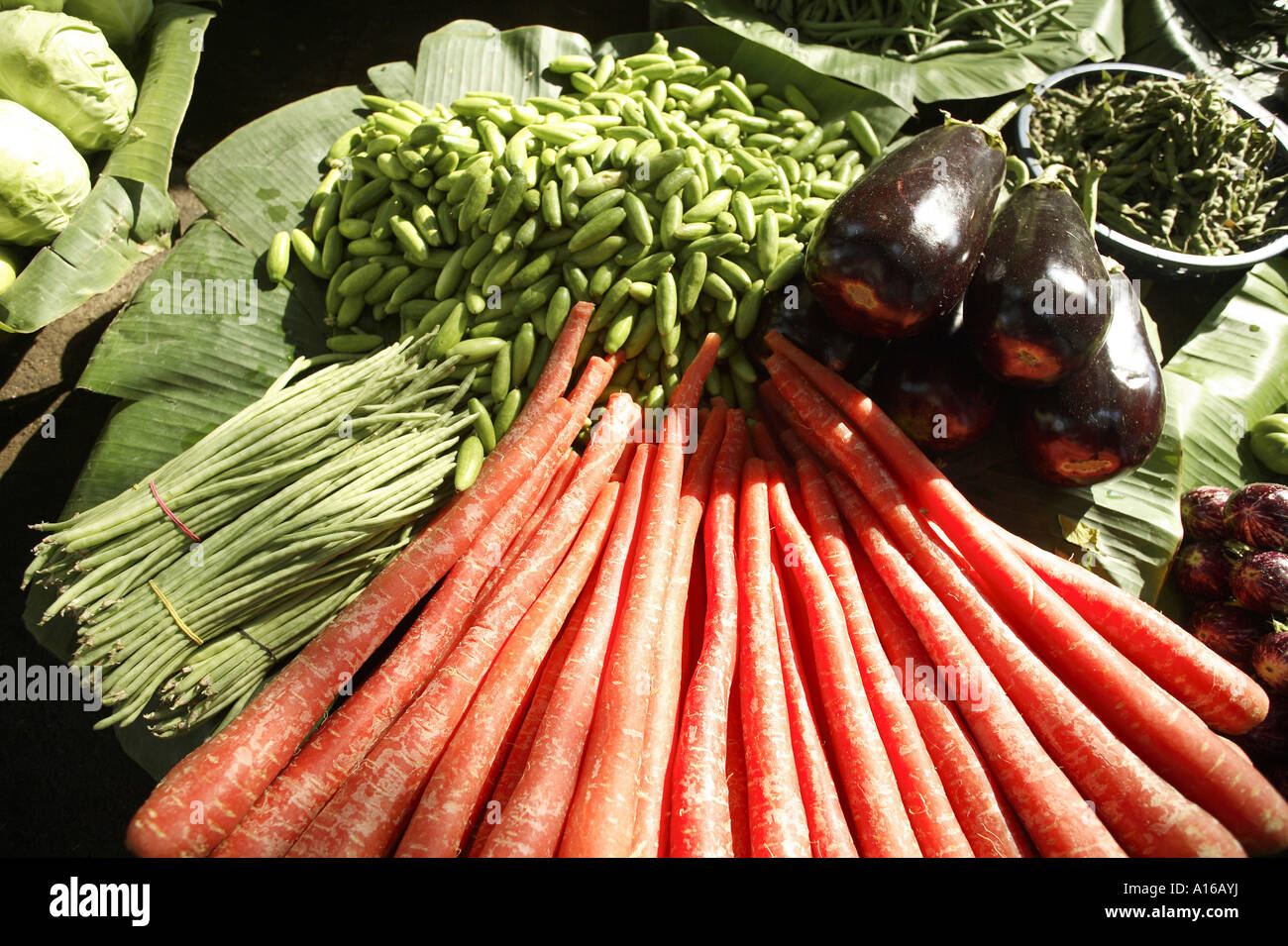 RSC101952 Fresh vegetable carrots brinjal beans Bombay Mumbai ...